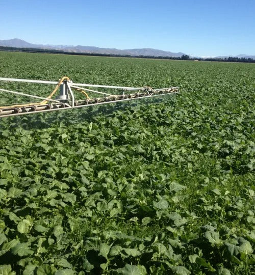 Chelation: What is it and the Different Types – Naturefarm trading as EMNZ