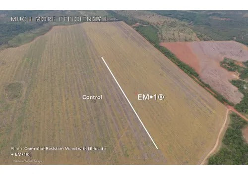 Reducing Sprays Using EM™ | A Case study – Naturefarm trading as EMNZ