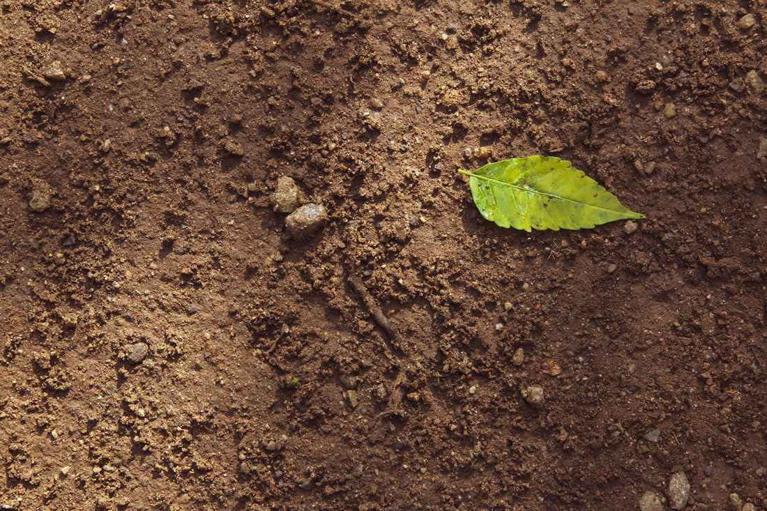 Improving Infertile or Damaged Soils – Naturefarm trading as EMNZ