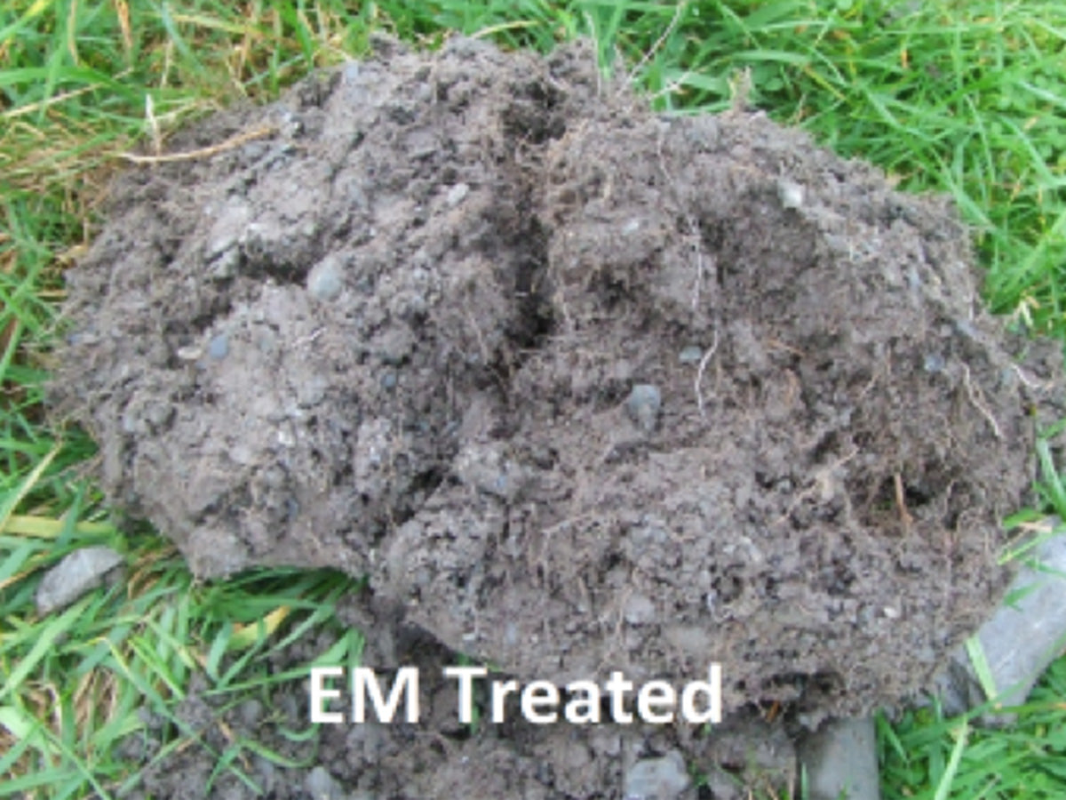 Using EM™ to Improve Soil Health and Performance – Naturefarm trading ...