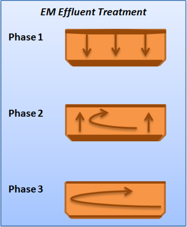 Effluent Ponds - EM™ for a Balanced Microbial Environment – Naturefarm ...