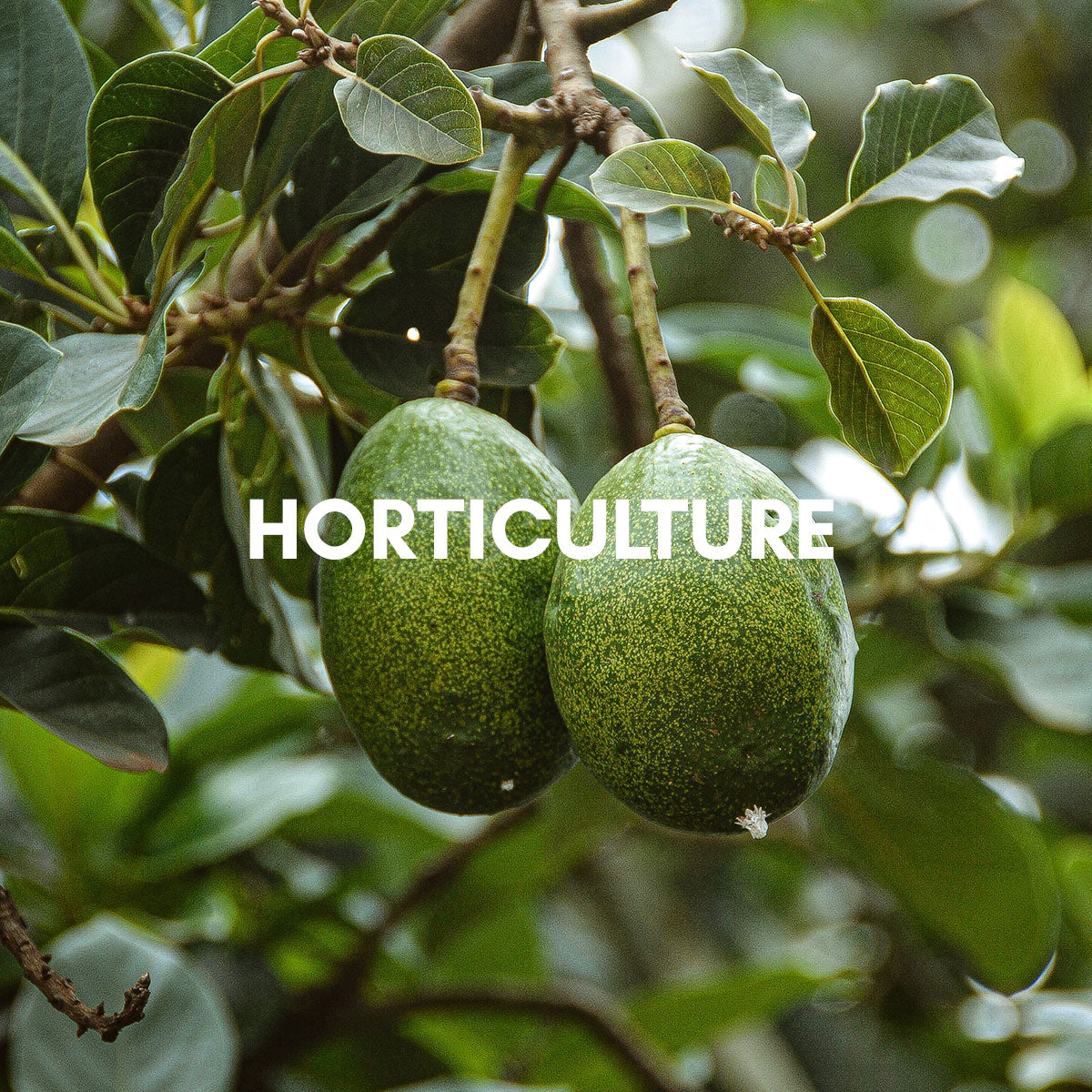 Organic & Natural Fertiliser – Naturefarm trading as EMNZ