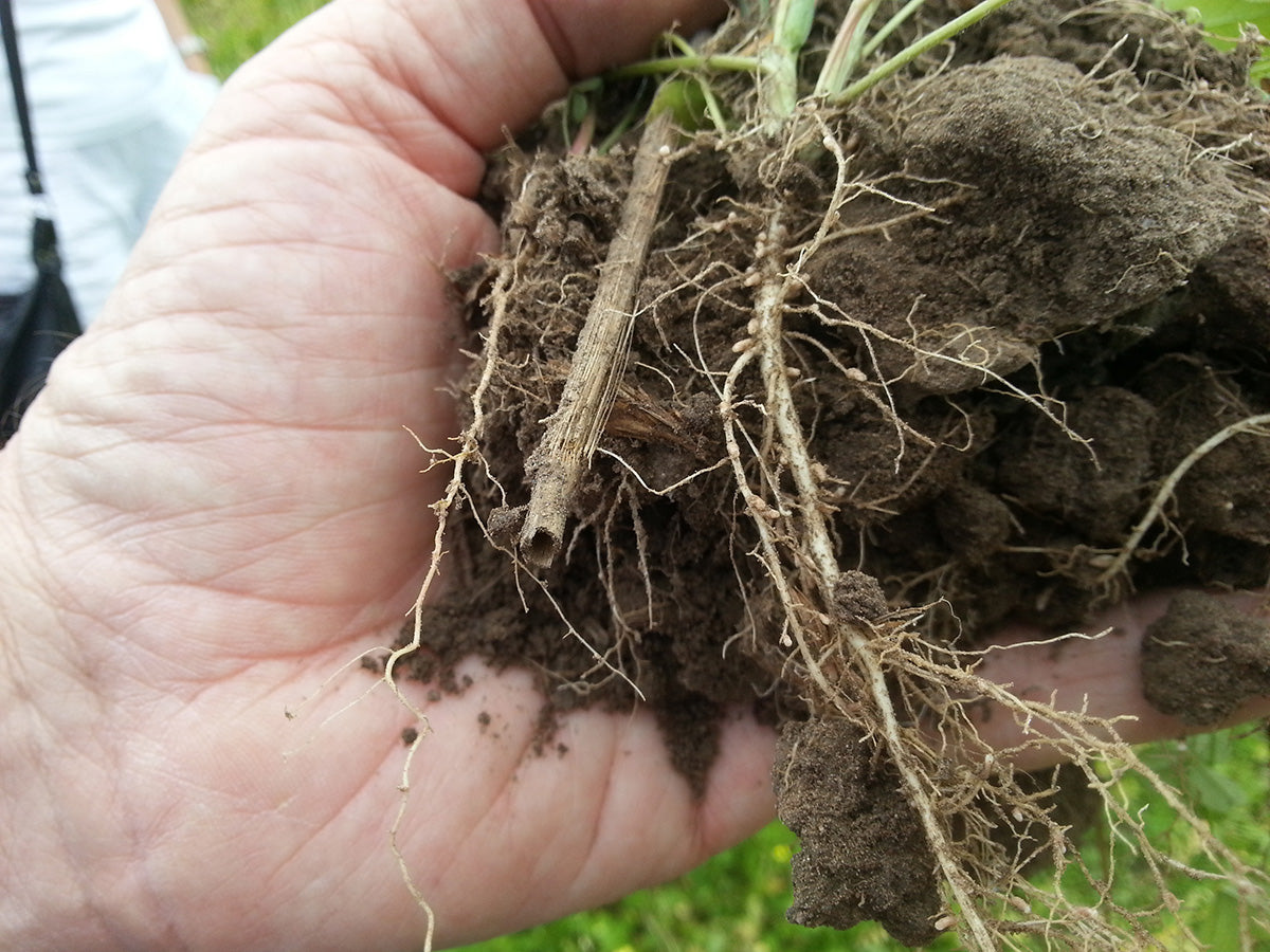 Organic & Natural Fertiliser – Naturefarm trading as EMNZ