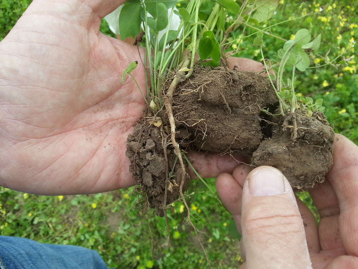 Organic & Natural Fertiliser – Naturefarm trading as EMNZ